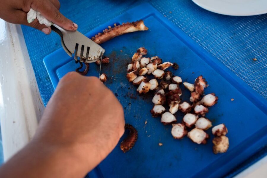 Santorini: Traditional Fishing Trip and Fresh Fish Lunch - Why You Should Consider This Experience
