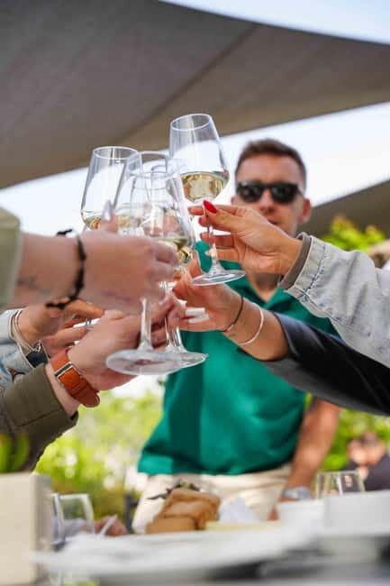 Santorini: Volcanic Wine Tour to 2 or 3 Wineries - Practical Details and Personal Insights