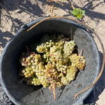 Santorini Wine & History Tour with 3 Expert Sommeliers - Key Points