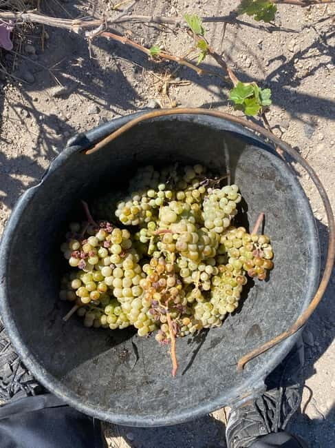 Santorini Wine & History Tour with 3 Expert Sommeliers - Key Points