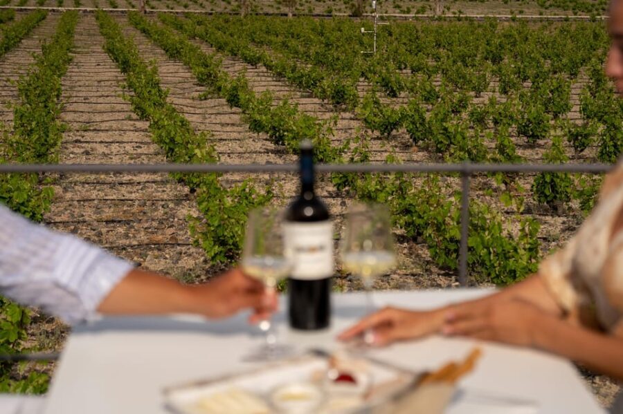Santorini: Wine O' Clock - Wine Tasting Private Tour - Practical Tips for Participants