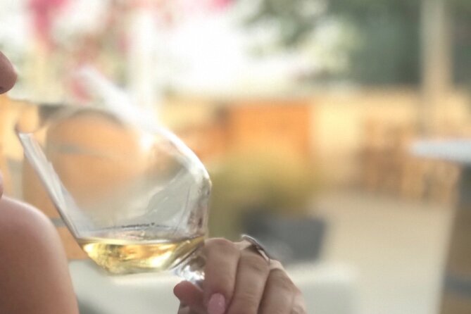 Santorini wine tasting and Traditional Cave Settlement Tour - Introducing the Santorini Wine Tasting and Traditional Cave Settlement Tour