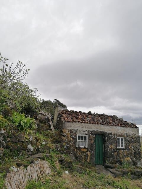 São Jorge: Fajã Camping and Hiking Tour - Why This Tour Stands Out
