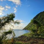 São Jorge: Island, Forest Reserve & Fajãs Guided Tour - Exploring the Itinerary in Detail