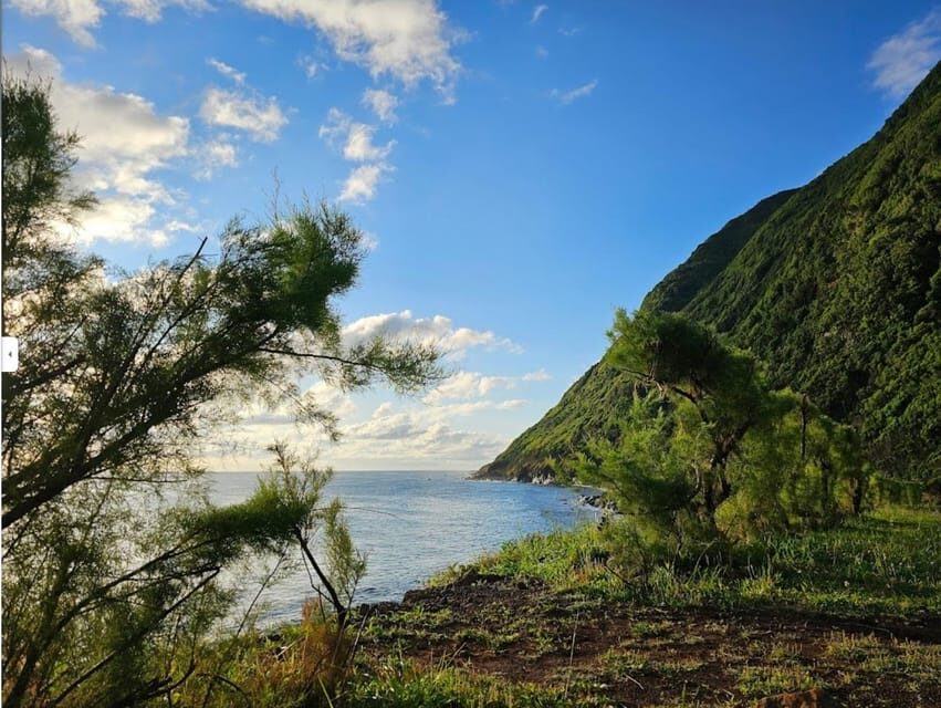 São Jorge: Island, Forest Reserve & Fajãs Guided Tour - Exploring the Itinerary in Detail
