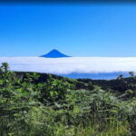 São Jorge Island Panoramic Adventure  4 Hour Tour - Why This Tour Works for Travelers