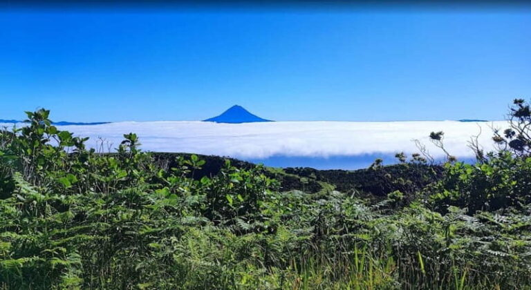 São Jorge Island Panoramic Adventure  4 Hour Tour - Why This Tour Works for Travelers