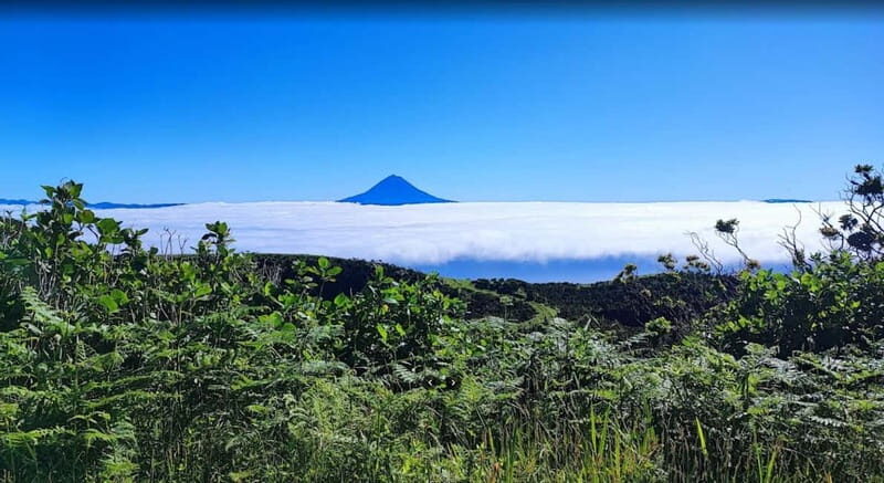 São Jorge Island Panoramic Adventure  4 Hour Tour - Why This Tour Works for Travelers