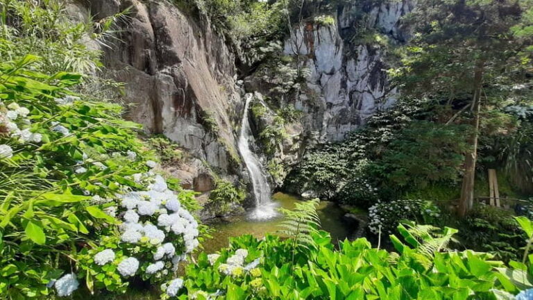 São Miguel Azores: Hike and Snorkeling with a local - The Sum Up