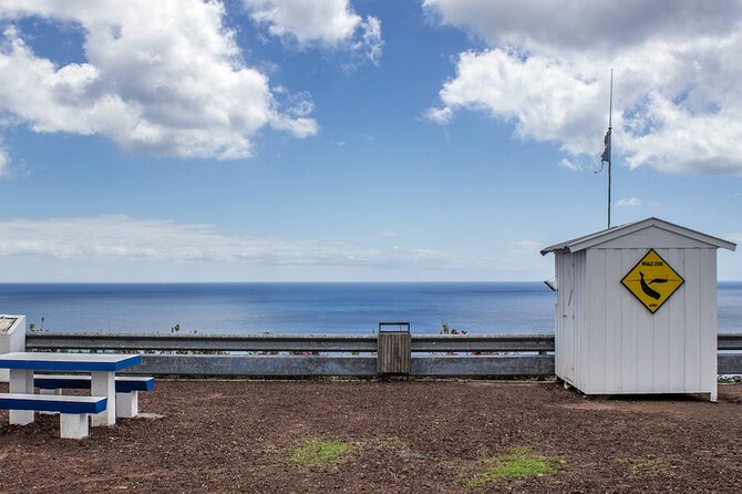 São Miguel: Azores Whaling Heritage Tour - São Miguel: Azores Whaling Heritage Tour – A Deep Dive Into History and Wildlife