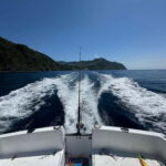 São Miguel: Boat Trip with SUP, Snorkelling & Barbecue - Details of the Experience
