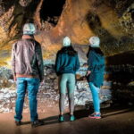 São Miguel: Botanical Gardens and Cave Tour - The Value for Your Money