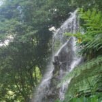 São Miguel: Full-Day Nordeste & Waterfall Tour with Lunch - Who Would Love This Tour?