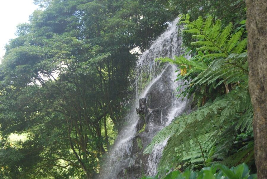 São Miguel: Full-Day Nordeste & Waterfall Tour with Lunch - Who Would Love This Tour?
