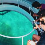 São Miguel: Glass Bottom Boat Tour with Snorkeling - Why This Tour Works Well