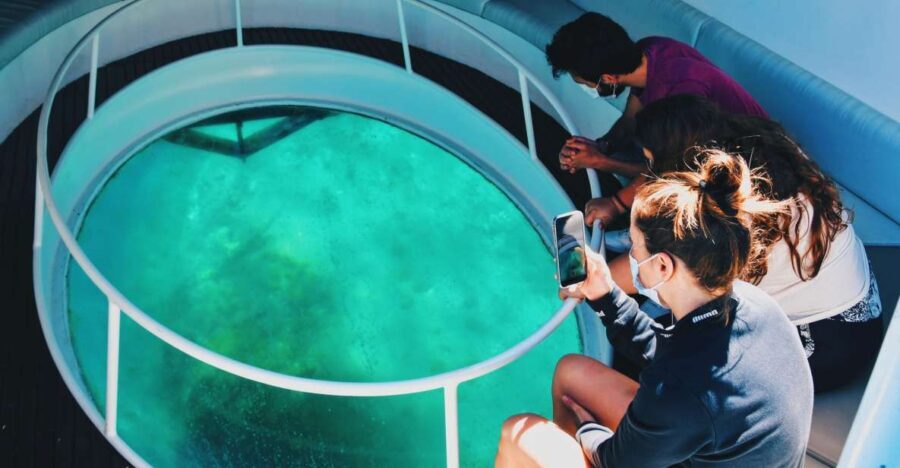 São Miguel: Glass Bottom Boat Tour with Snorkeling - Why This Tour Works Well