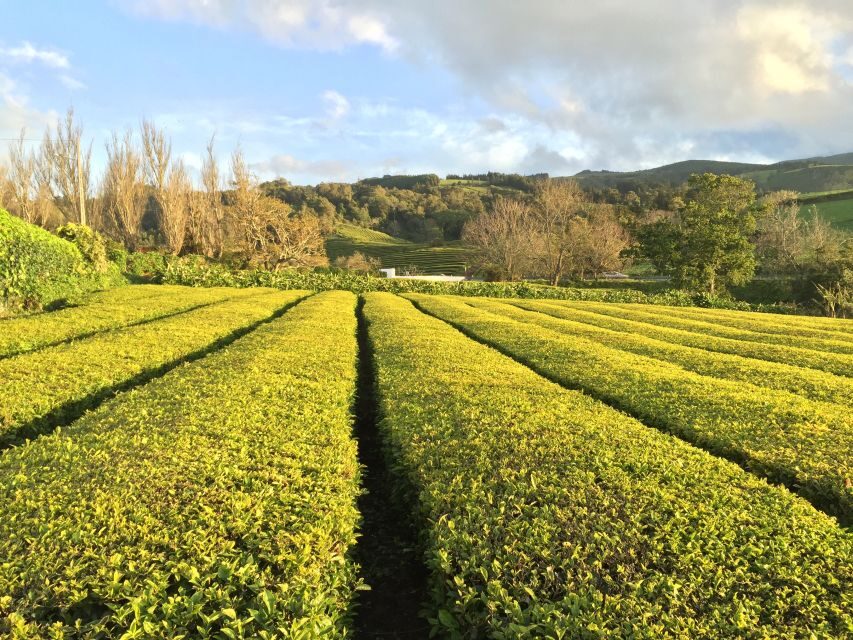 São Miguel Island: Full Day All-in-One Tour - Why This Tour Works Well