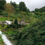 São Miguel Island: Full-Day Ribeira Park and Nordeste Tour - What Travelers Say
