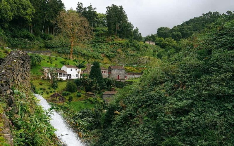 São Miguel Island: Full-Day Ribeira Park and Nordeste Tour - What Travelers Say