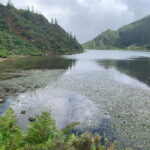 São Miguel: Lagoa do Fogo & South Coast Escape w/lunch - A Closer Look at the Itinerary and Highlights