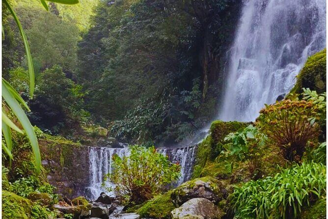 São Miguel: Majestic North Tour (Local Lunch Incl.) - Visiting a Tea Factory with a View