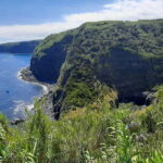São Miguel: Moinho do Felix Hike with Tea Factory Visit - A Closer Look at the Experience