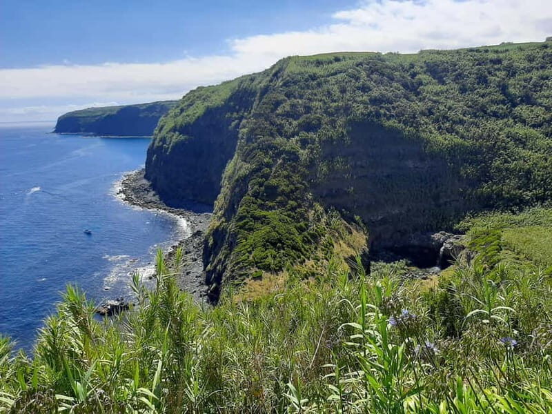 São Miguel: Moinho do Felix Hike with Tea Factory Visit - A Closer Look at the Experience