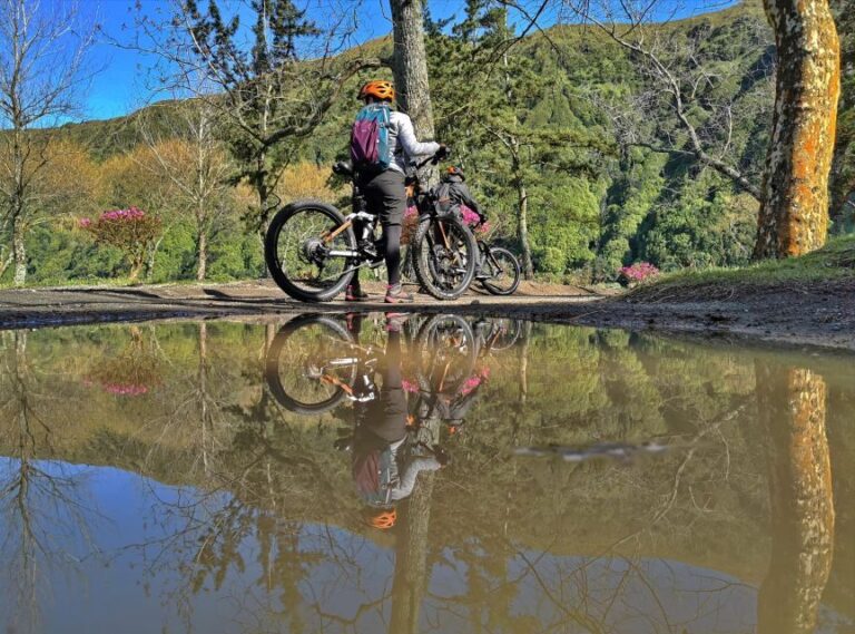 São Miguel: Sete Cidades Experience - Why This Tour Works for Travelers