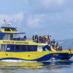 São Miguel: Whale-Watching Cruise with Marine Biologist - Exploring the Details of the Tour