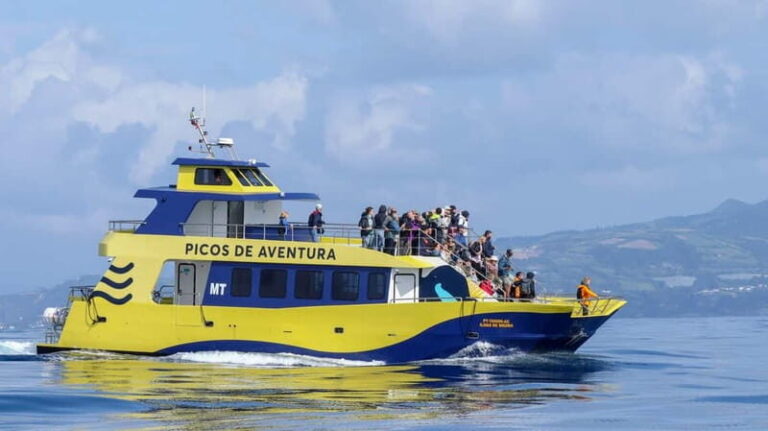São Miguel: Whale-Watching Cruise with Marine Biologist - Exploring the Details of the Tour