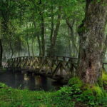 Sarajevo: Vrelo Bosne Nature Park Private Tour - The Itinerary in Detail