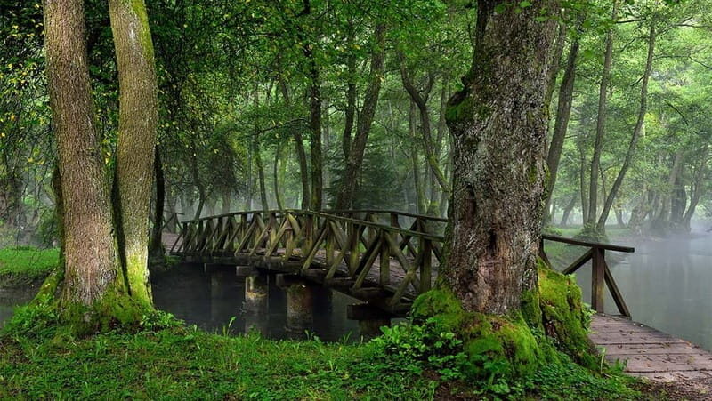 Sarajevo: Vrelo Bosne Nature Park Private Tour - The Itinerary in Detail