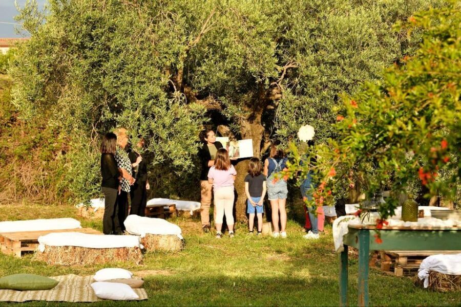 Sardegna: tour nel mondo dell' olio ExtraVergine, in tedesco - The Experience’s Value and Practical Considerations