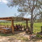Sardinia: Dorgali Winery Tour with Tasting and Local Guide - Pairings and Local Specialties