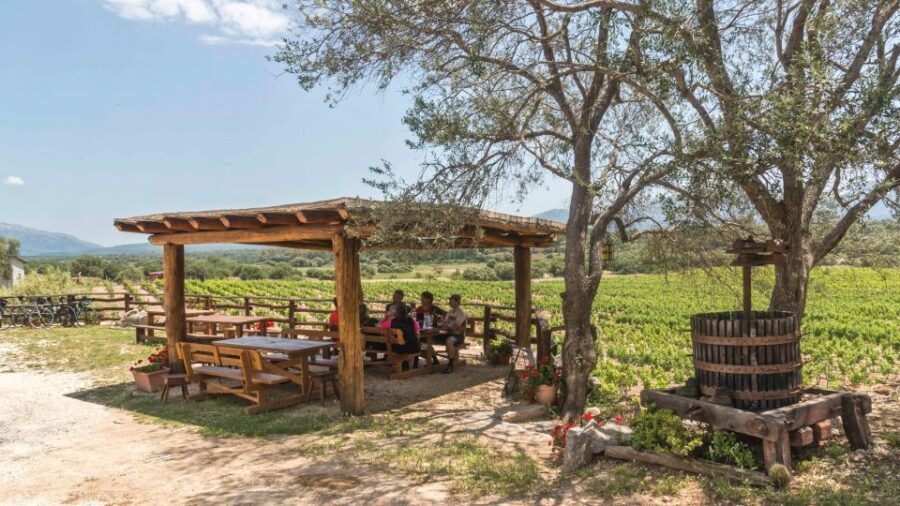 Sardinia: Dorgali Winery Tour with Tasting and Local Guide - Pairings and Local Specialties