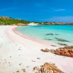 Sardinia: La Maddalena Archipelago Full-Day Trip by Boat - Who Will Love This Tour