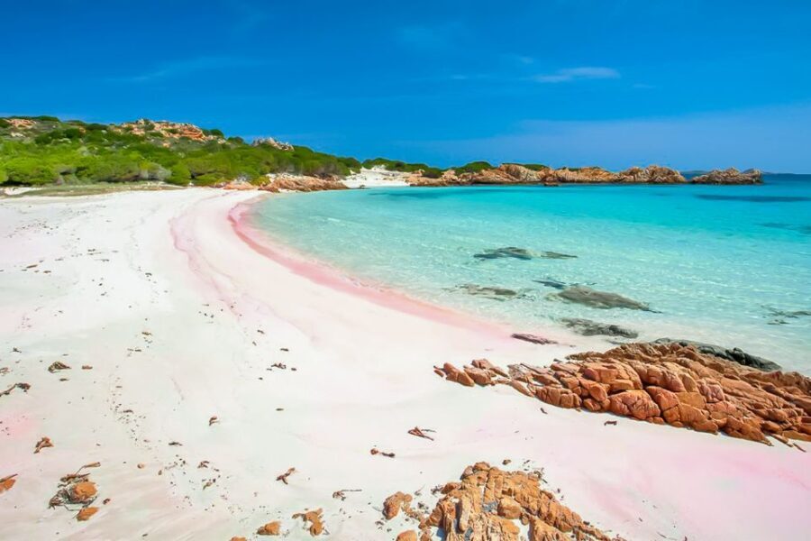 Sardinia: La Maddalena Archipelago Full-Day Trip by Boat - Who Will Love This Tour
