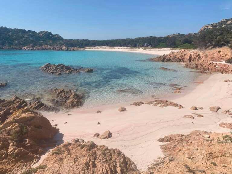Sardinia: La Maddalena/Palau Catamaran Day Trip with Lunch - Why the Price Reflects Value
