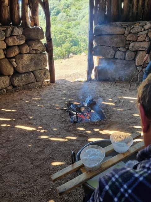 Sardinia: Private Cheese-Making Workshop and Supramonte Tour - What Are the Key Points?