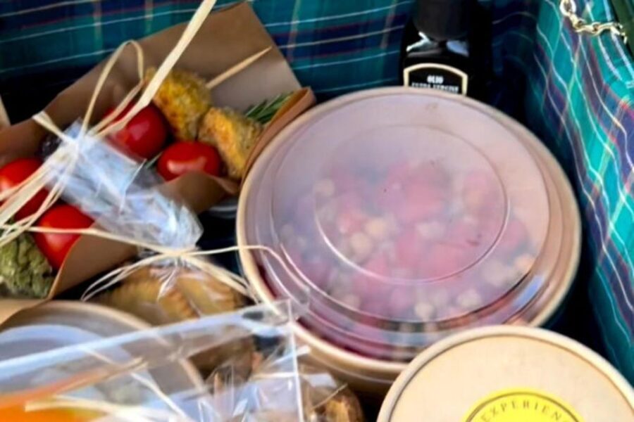 Sardinian Olive Oil tasting & Picnic among the olive trees - The Practicalities: What to Expect