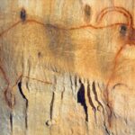 Sarlat : Private Tour to an Original Prehistoric Cave - Authentic Guides Make a Difference