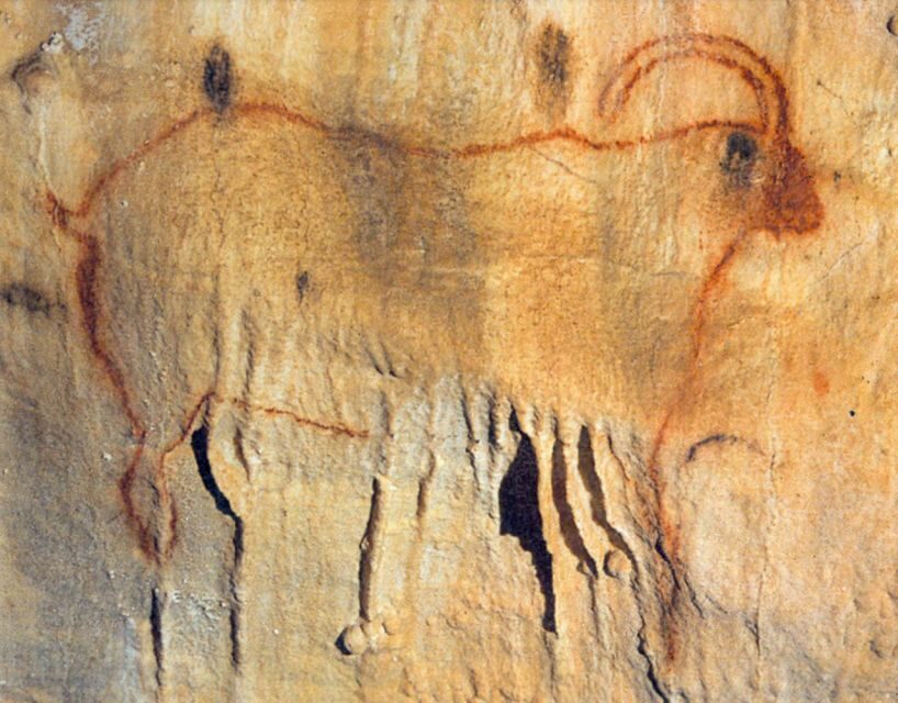 Sarlat : Private Tour to an Original Prehistoric Cave - Authentic Guides Make a Difference