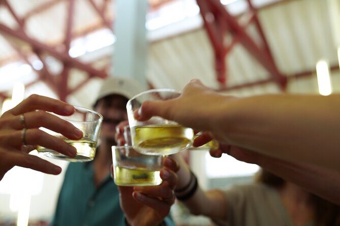 SAVEURS of French BASQUE COUNTRY - Private Gastronomic Adventure - Who Is This Tour Best For?