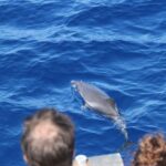 Savona: Pelagos Sanctuary Wildlife Cruise with Guide - Who Should Consider This Tour?