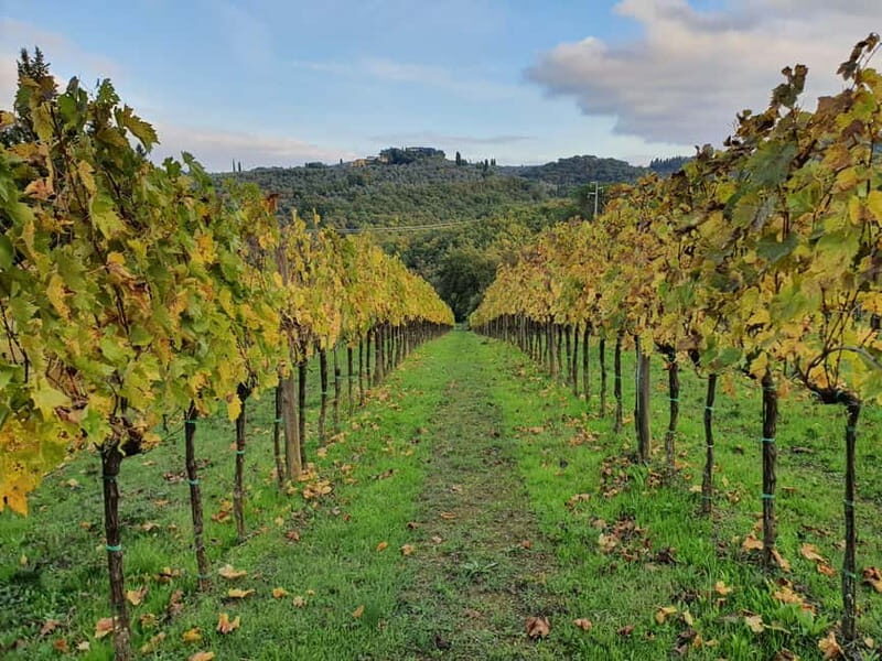 Scandicci: Bellavista Wine Tasting Experience - Who Will Love This Tour?