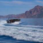 Scandola: visit the nature reserve from Porto (France) - Transportation & Logistics