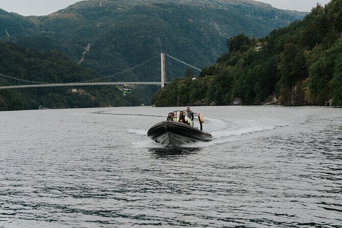 Scenic Hardangerfjord & Fyksesund RIB adventure from Norheimsund - Who Will Love This Tour?