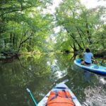 Scenic Paddleboarding Adventure: Nové Mlýny to Lednice - Detailed Review: Paddling Through Moravia’s Showcases