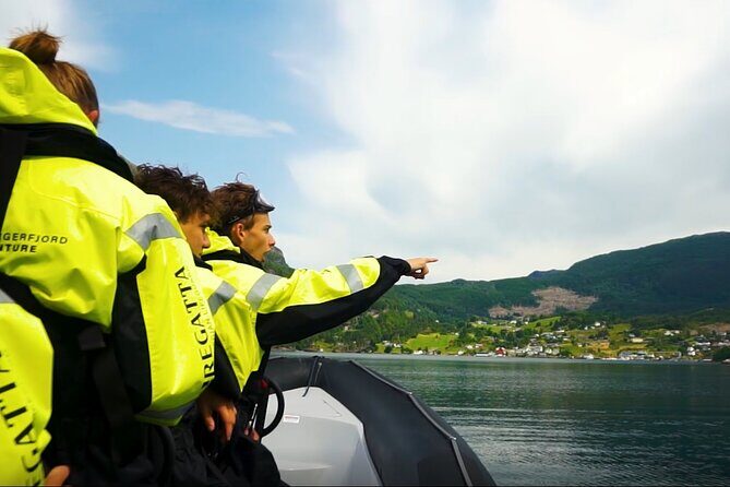 Scenic RIB adventure to Hardangerfjord & Fyksesund from Øystese - Small Group, Personal Experience