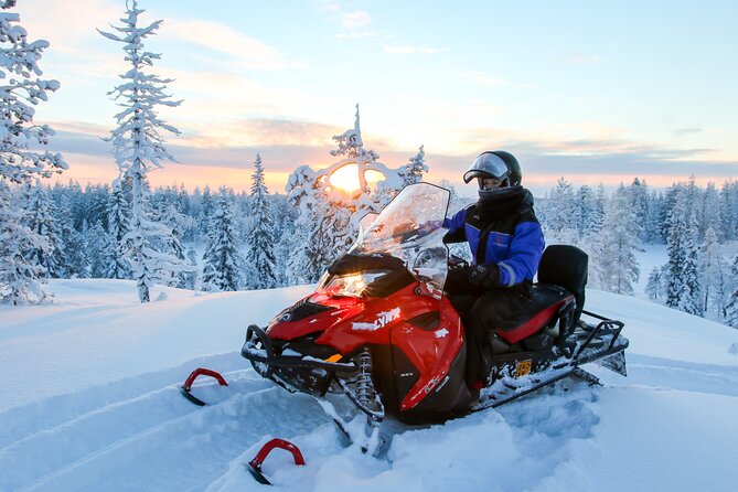 Scenic Snowmobile Safari in Saariselkä - Scenic Snowmobile Safari in Saariselkä: An Exciting Arctic Adventure